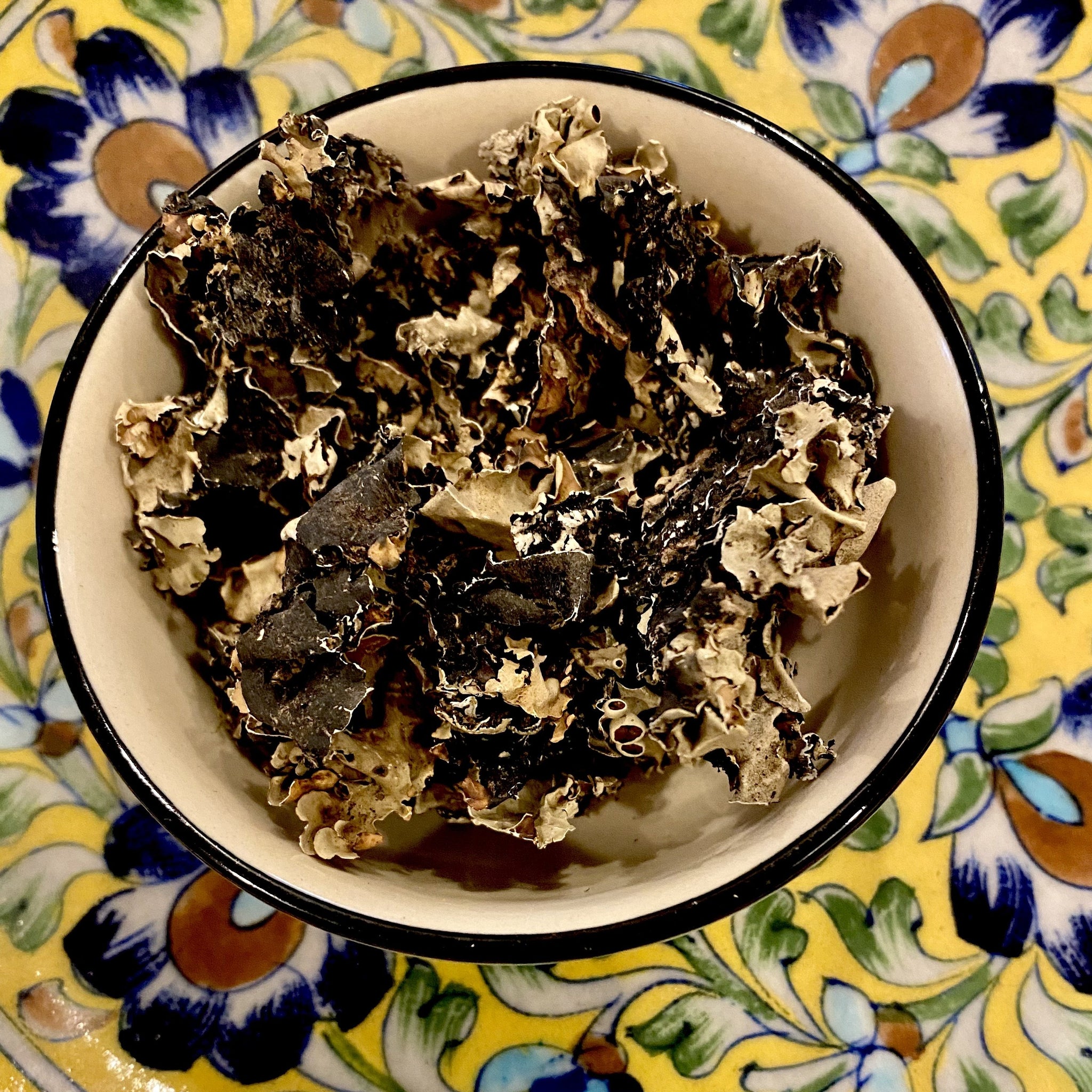 Stone Flower - 50 gms – Mylapore Kitchens